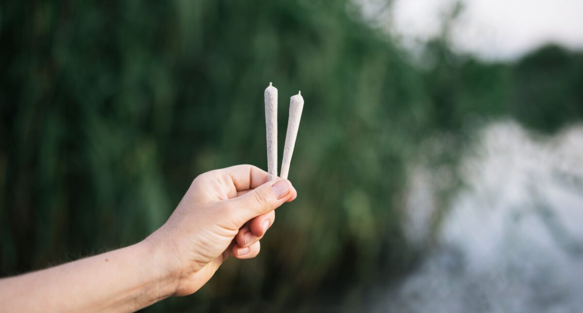 What is a Sativa? Effects, Uses, and Benefits Explained